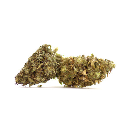 Flori Canepa CBD - 3-5% - 10g HANAFSAN BY DR. FEUERSTEIN